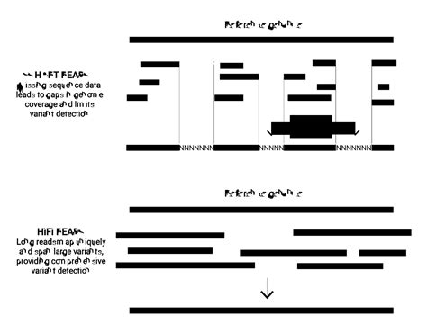 Sequencing 101 The Evolution Of DNA Sequencing Tools PacBio