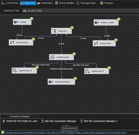 Data Warehouse And Etl Specialist مستقل