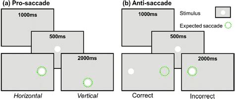 Schematic Representation Of The Saccade Tasks A Blank Screen Was