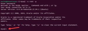 How To Import And Export A MySQL Database