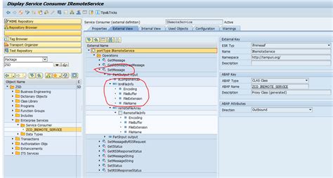 Activating Proxy Service Consumer From Abap Stack Overflow