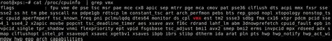 proc cpuinfo virtualization stealthsilope