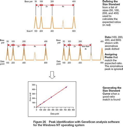 Archived Str Data Analysis And Interpretation For Forensic Analysts Analysis Modes