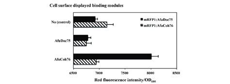 Combinatorial Binding Tests Of Mrfp1afucoh76 And Mrfp1afudoc75 To