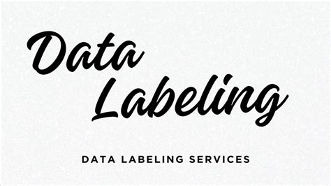 รับทำ Data Labeling