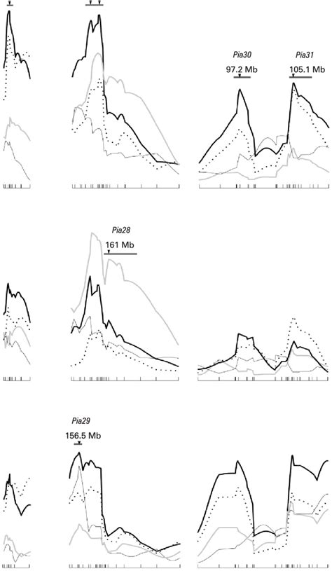linkage mapping in the g7 advanced intercross lines ail population