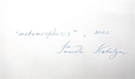 METAMORPHOSIS Drawing Natalya Pravda Jose Art Gallery