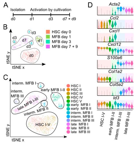Cells Free Fulltext Metabolic Signature Of Hepatic Fibrosis From
