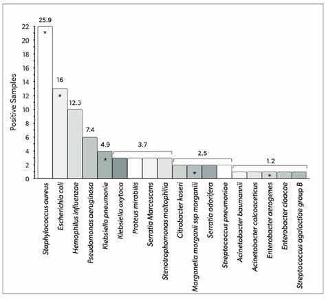Bacteria Detected In The Respiratory Tract Samples Of Patients With