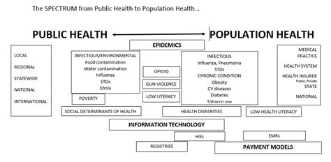 Understanding And Identifying Key Components Of Population Health