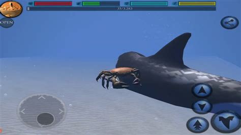 Crab Vs Orca Shark Ultimate Ocean Simulator Youtube
