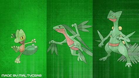 Treecko Trio Trecko Evolution Wallpaper By MaltyCrab On DeviantArt