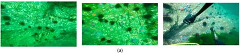 Enhanced Yolov7 For Improved Underwater Target Detection