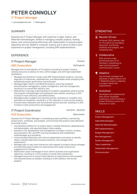 3 IT Project Manager CV Examples For 2023