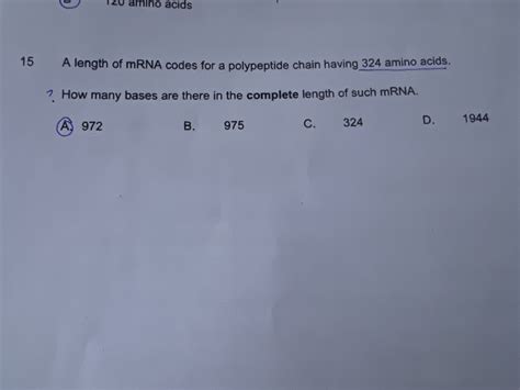 15 A Length Of Mrna Codes For A Polypeptide Chain Having 324 Amino Acids