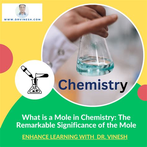 What Is A Mole In Chemistry The Remarkable Significance Of The Mole Dr Vinesh Kumar