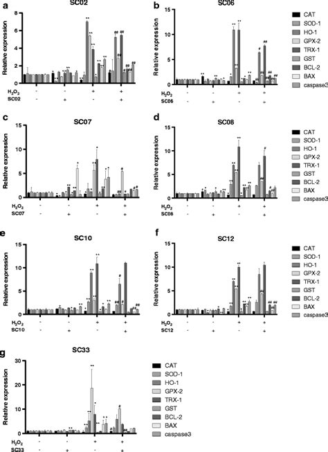 Effects Of Seven Bacillus Strains On The Expressions Of Genes Related