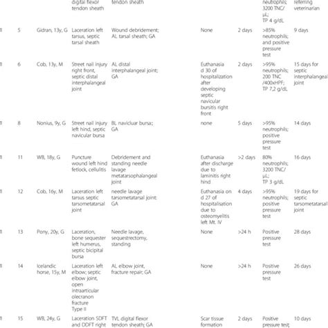 Detailed Patient Information Reporting Age In Years Breed Sex