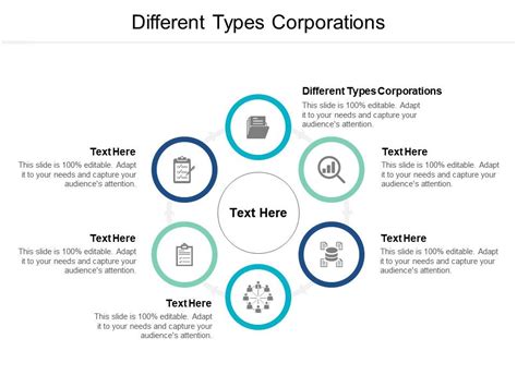 Different Types Corporations Ppt Powerpoint Presentation Styles Deck