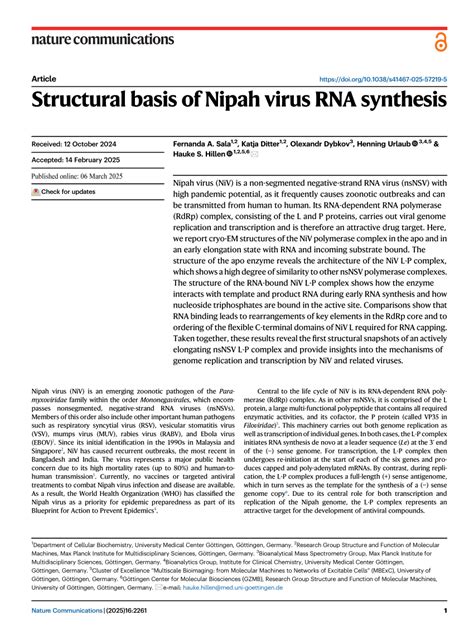 PDF Structural Basis Of Nipah Virus RNA Synthesis