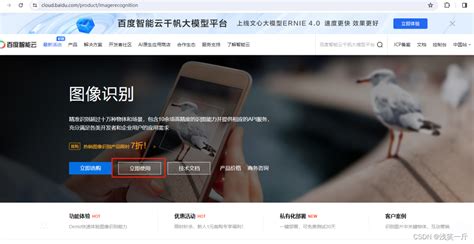 百度ai使用 图像文字识别实现百度图像内容理解 Csdn博客