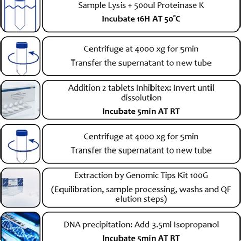 flowchart representation of step‐by‐step optimized protocol download