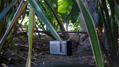 Luminous Mysteries Antimatter Sirr Ecords