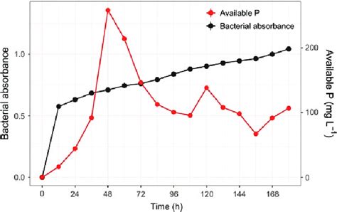 Kinetic Curve Of Phosphorus Dissolution Of The P Solubilizing Bacterium Download Scientific