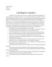 Lab Report Mouse Genetics One Trait Docx Pablo Giraldo Biology Honors Th Grade Lab Report