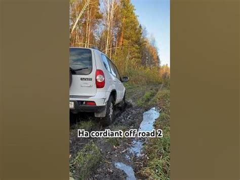 Шевроле нива на cordiant off road 2 #шевинива #шнива #нива #4k # ...