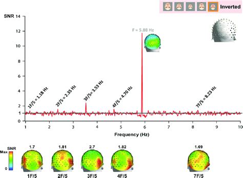 Snr Spectrum Of The Right Occipito Temporal Roi For Inverted Faces In Download Scientific