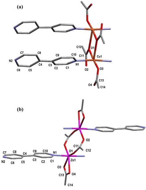 A Molecular Structure And Atomic Labelling Scheme For 1 Showing The Download Scientific