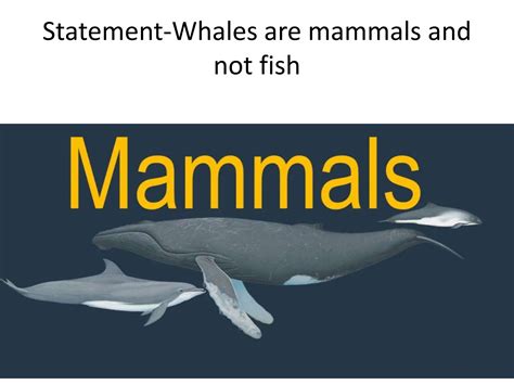 Determining Truth Philosophy For Grade 11 Pptx