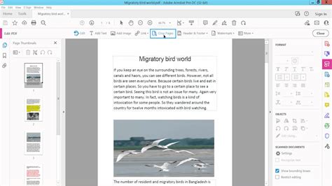 2024 New How To Crop PDF Pages On Windows Mac And Free Online