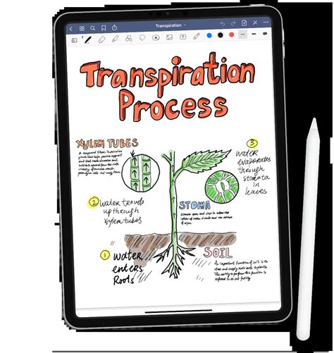 Goodnotes Best Note Taking App For Ipad