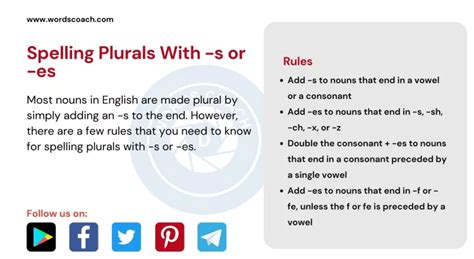 Spelling Plurals With S Or Es Word Coach
