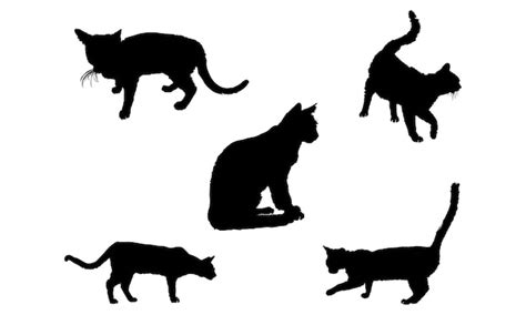 Premium Vector Cat Vector Design