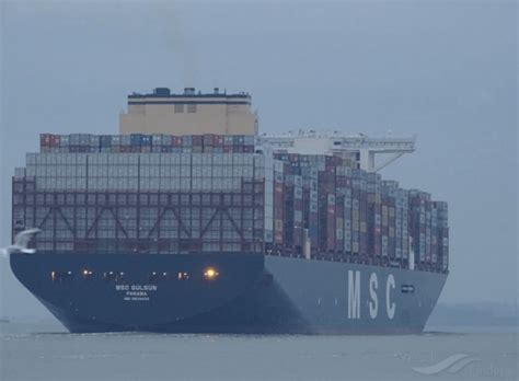 MSC Container Ship View Container News