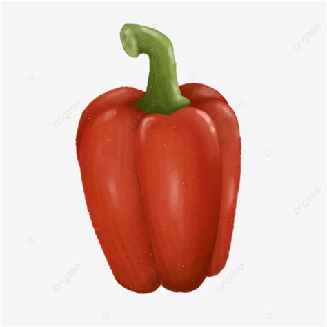 붉은 파프리카 빨간색 파프리카 삽화 Png 일러스트 및 Psd 이미지 무료 다운로드 Pngtree