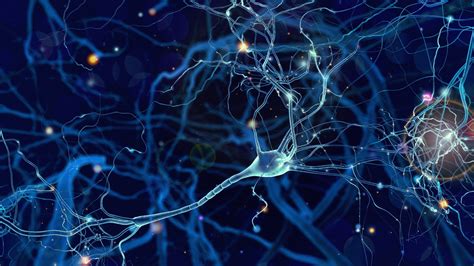 On Adding Negative Recurrent Synapses To A Neural Network Neurons