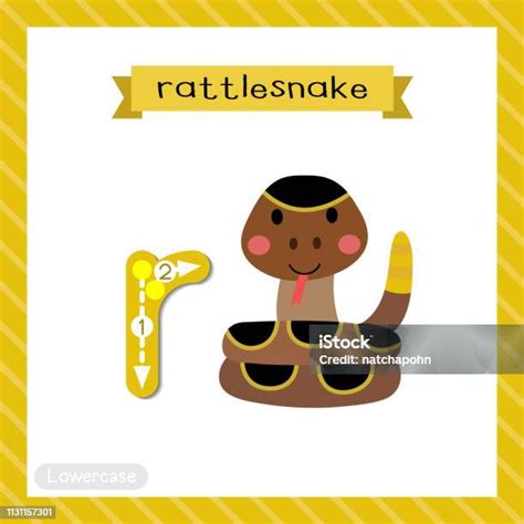 문자 R 소문자 추적 웅 크 업 래 틀 나 케 0명에 대한 스톡 벡터 아트 및 기타 이미지 0명 교육 낱말 Istock