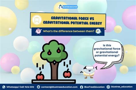 Whats The Difference Between Gravitational Force And Gravitational Potential Energy BlueTree