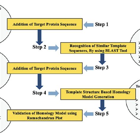 use of bioinformatics based tools for alignment validation