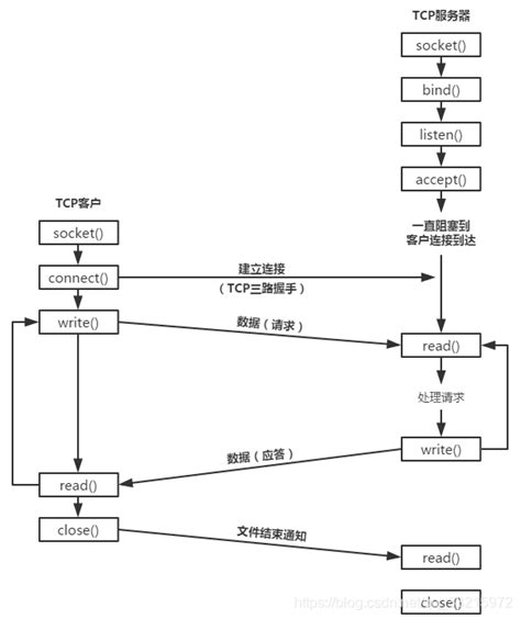 高级c与网络编程复习（4）—— 基本套接字函数（elementary Sockets Functions）（第四章） Csdn博客