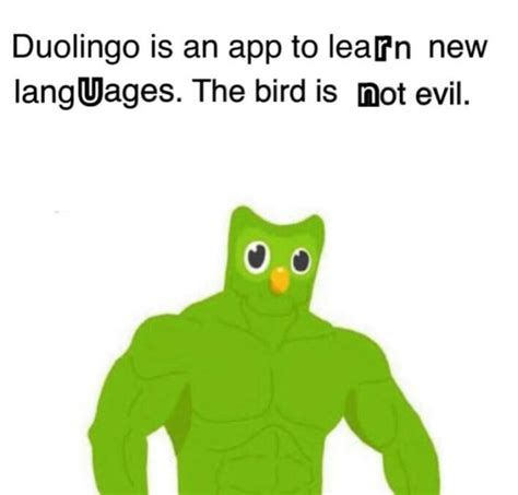 30 Funniest Duolingo Memes For Cunning Linguists Terrified Of Losing
