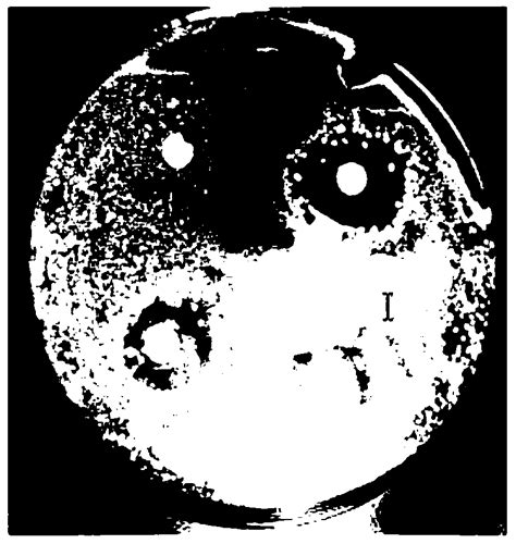 New Bacteriostatic Material Eureka Patsnap