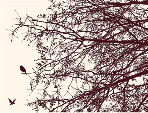 Premium Vector Silhouettes Of Flock Of Sparrows Sitting On Bare Tree