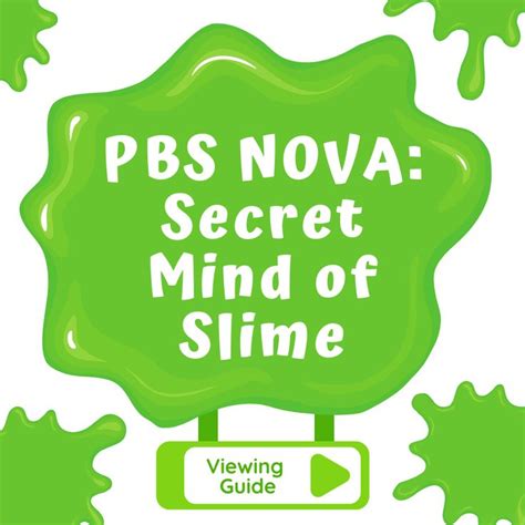 Pbs Nova Viewing Guide Secret Mind Of Slime Pbs Nova Pbs