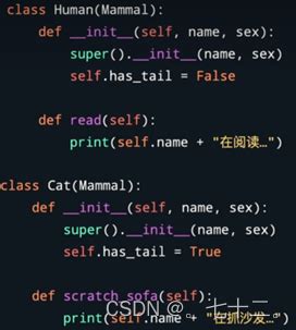 python中的继承 python继承 CSDN博客