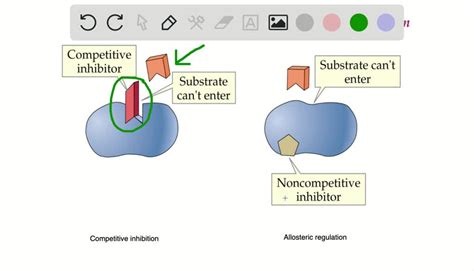 Solved Compare And Contrast Allosteric Regulation And Covalent Regulation Of Enzyme Activity